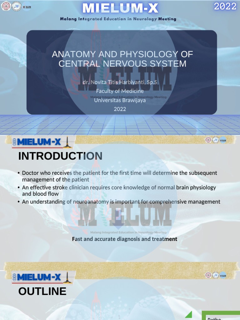 Dr. Titis-Anatomi Fisiologi Cns - Mielum X 2022 - Protected | PDF | Cerebral Cortex ...