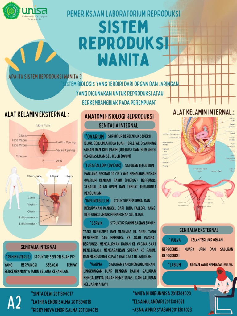 Poster Sistem Reproduksi Wanita | PDF