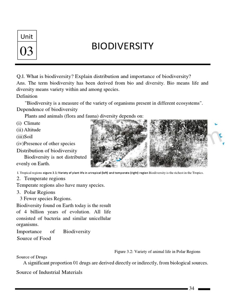 Understanding Biodiversity and Classification | PDF | Biodiversity ...