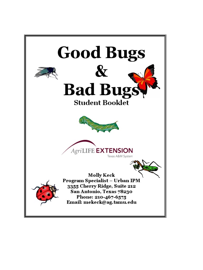 Good Bugs & Bad Bugs Student Guide | PDF | Pupa | Insects