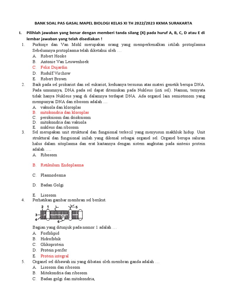 Bank Soal Pas Xi Biologi Tipe 2 | PDF
