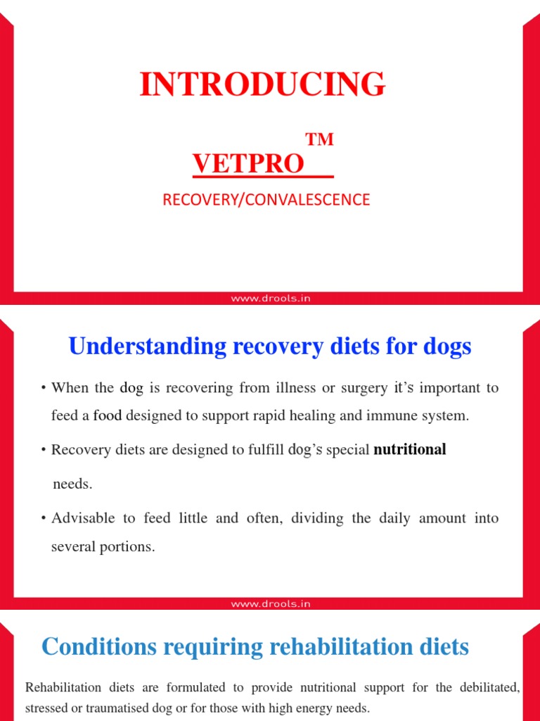 Vet Pro PDF | PDF | Nutrients | Foods