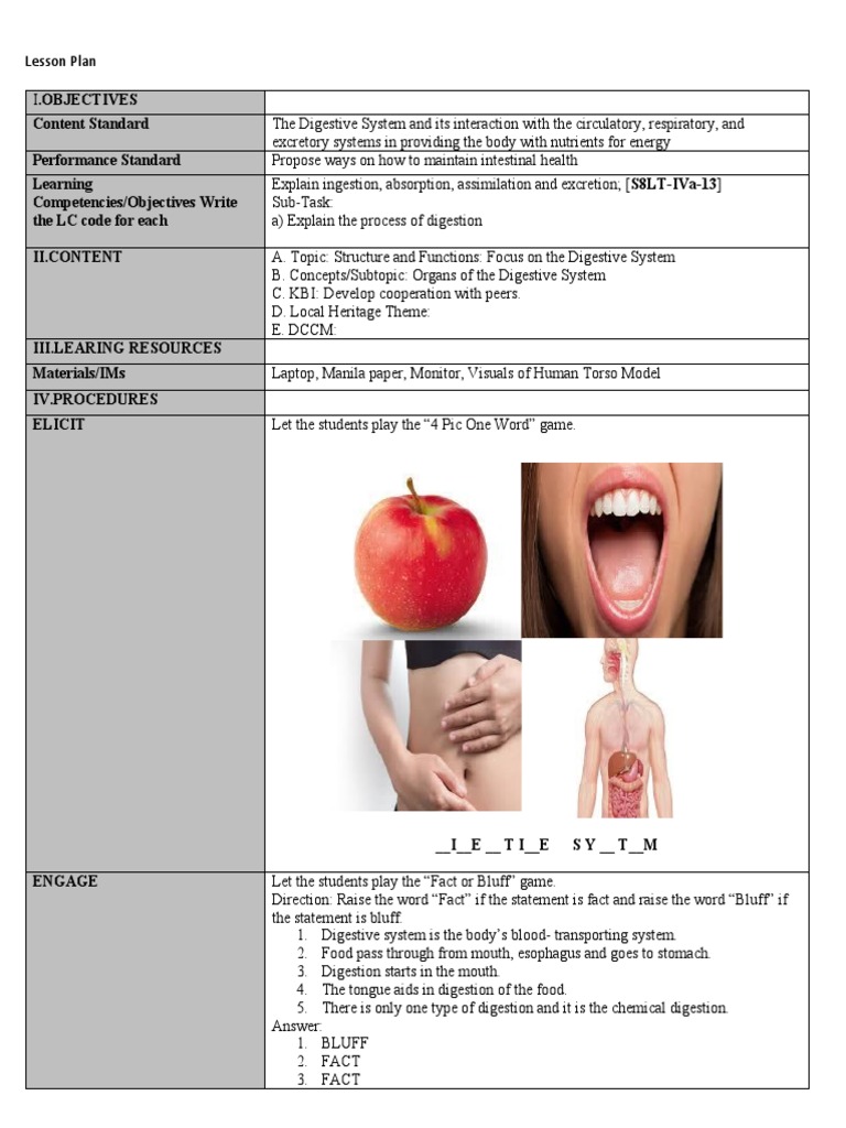 Digestive System Lesson Plan Overview | PDF | Gastrointestinal Tract ...