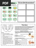 Grade 12 Life Science The Ear PDF | PDF | Ear | Hearing