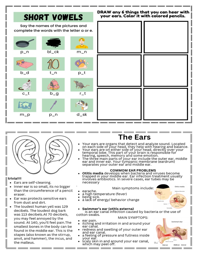 Notes and Activities On Health 2 | PDF | Ear | Human Anatomy