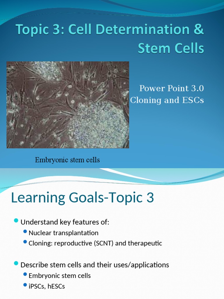 Biol 216 2020 Topic 3 Cell Determination and Stem Cells - Powerpoint 3. ...