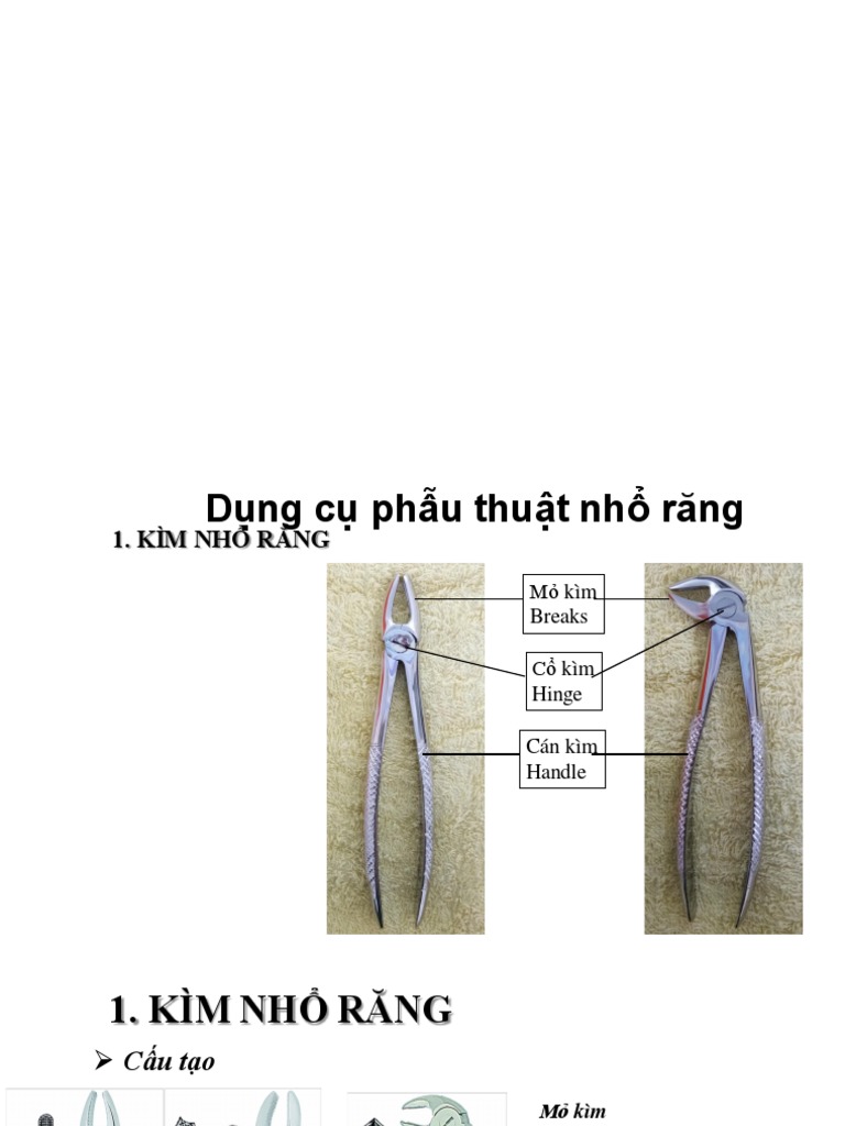 D NG C NH Răng | PDF