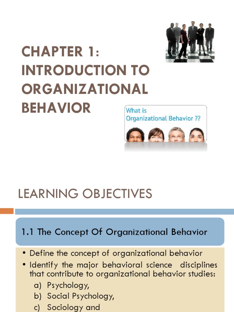 Chapter 1 Organizational Behaviour | PDF | Organizational Behavior ...