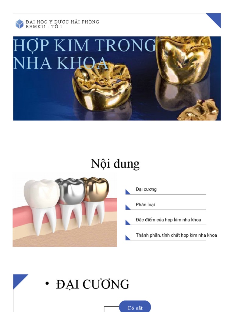 H P Kim Trong Nha Khoa | PDF