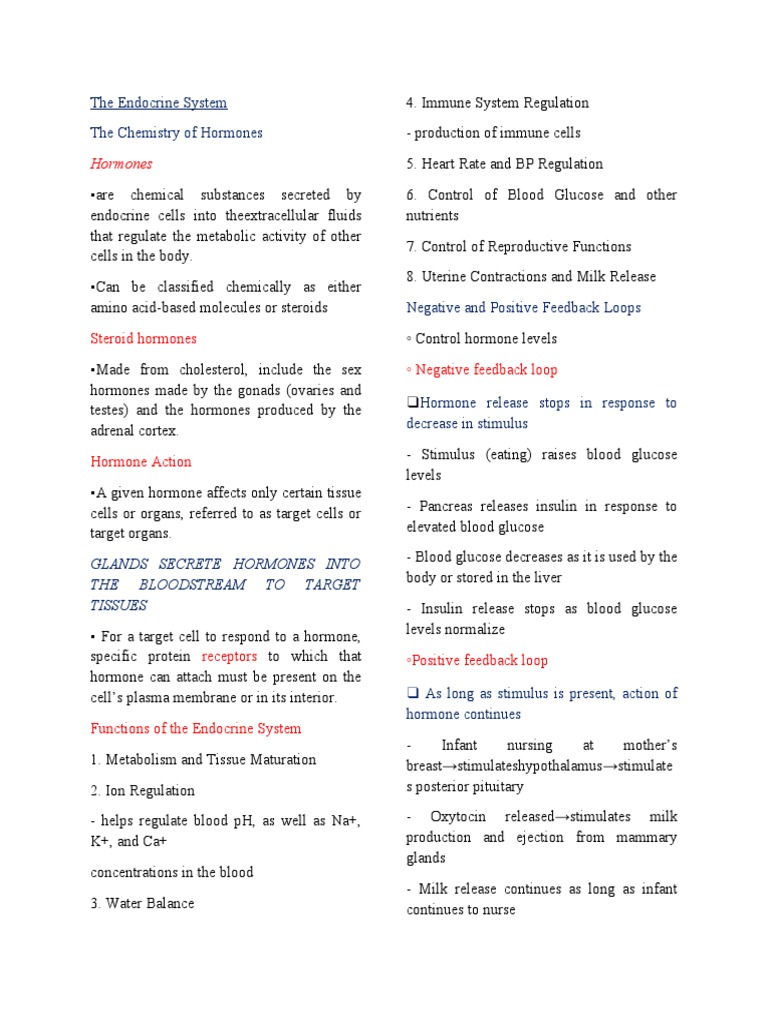 The Endocrine System Notes | PDF | Adrenal Gland | Endocrine System