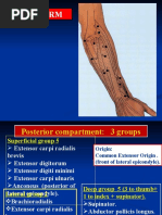 Flexor Extensor Retinaculum of The Hand | PDF | Thumb | Hand
