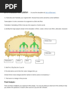 Photosynthesis POGIL Answer Key | PDF | Photosynthesis | Chloroplast
