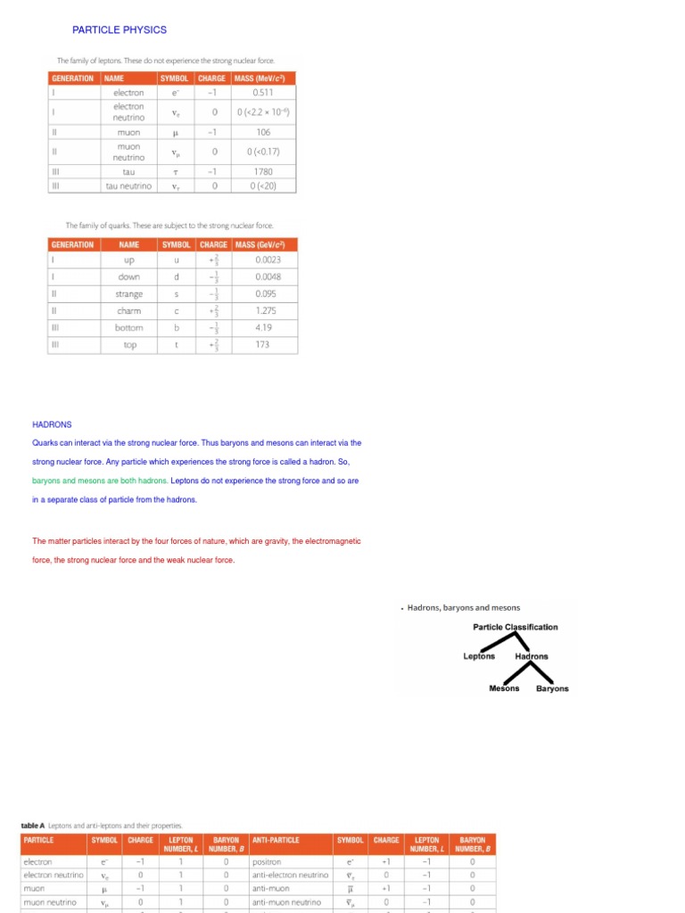 Particle Physics | PDF