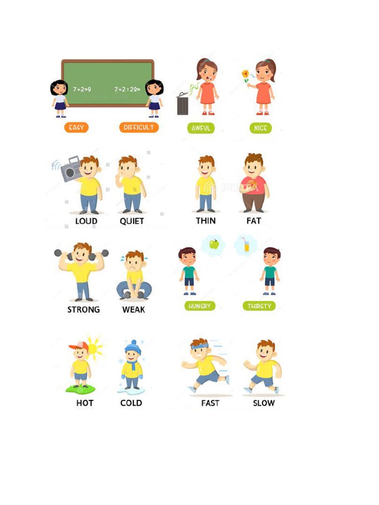 Fun For Movers Adjectives | PDF