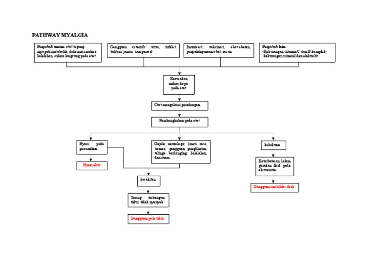 Pathway Myalgia Ter Unyu Lia | PDF