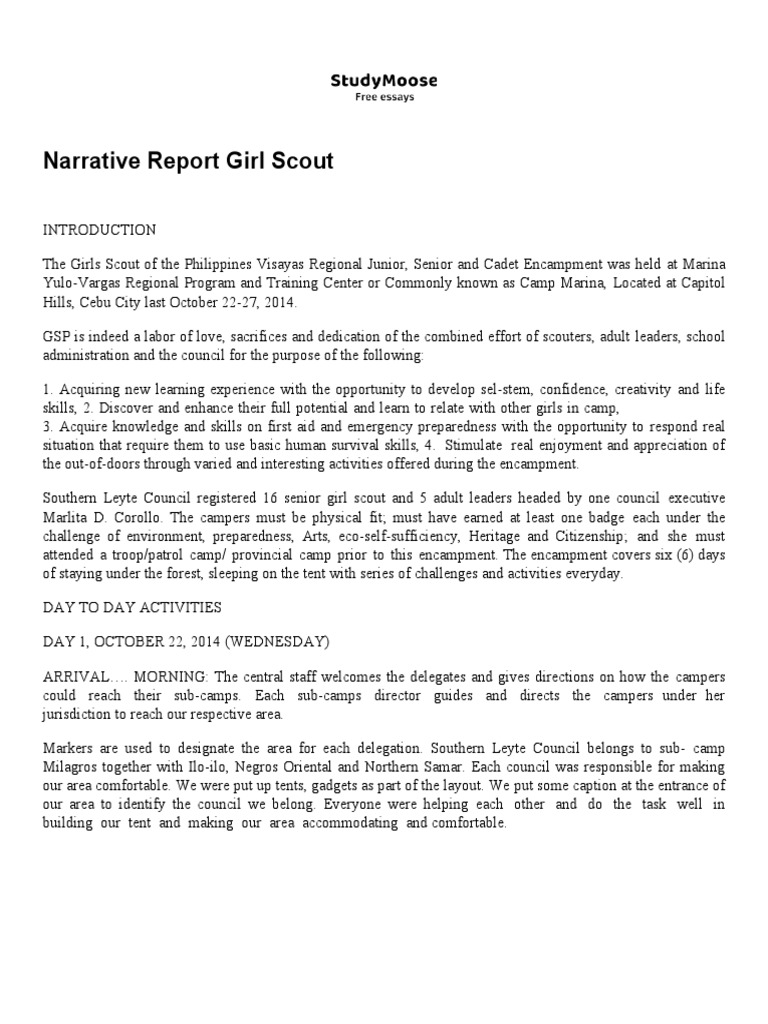 Narrative Report Girl Scout | PDF