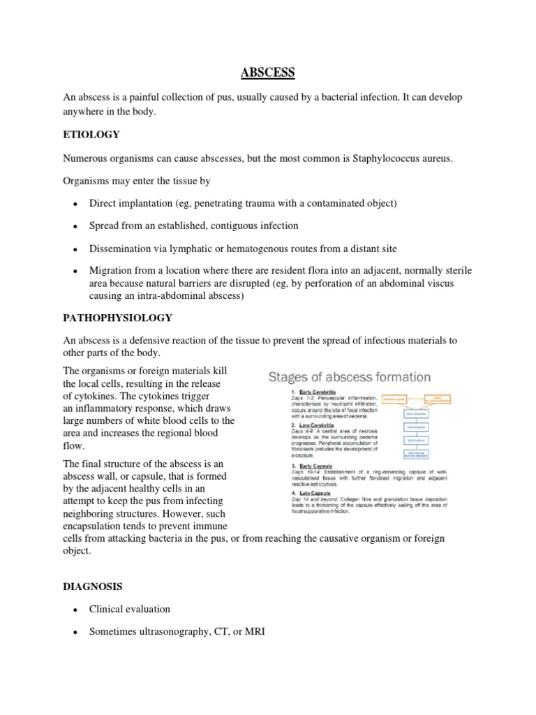 Abscess | PDF | Social Science | Science & Mathematics