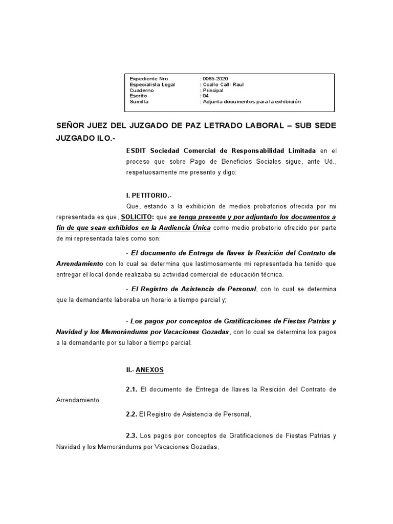 Escrito - Adjunta Documentos para Exhibicion | PDF