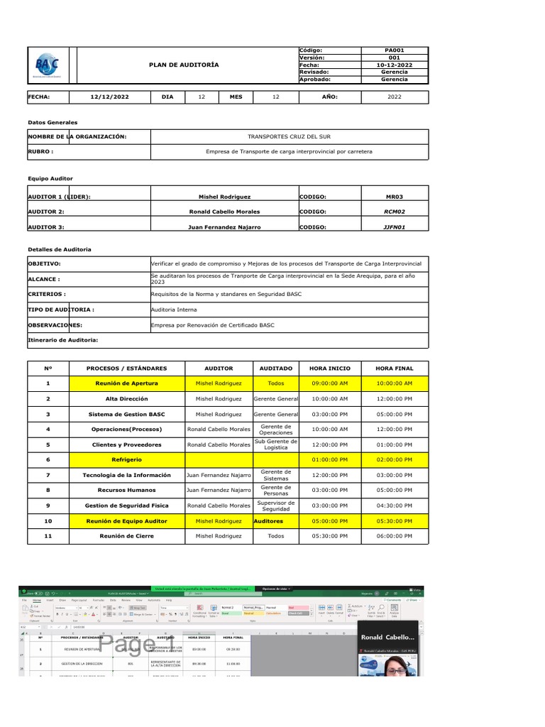 Plan de Auditoria | PDF | Auditoría | Economias