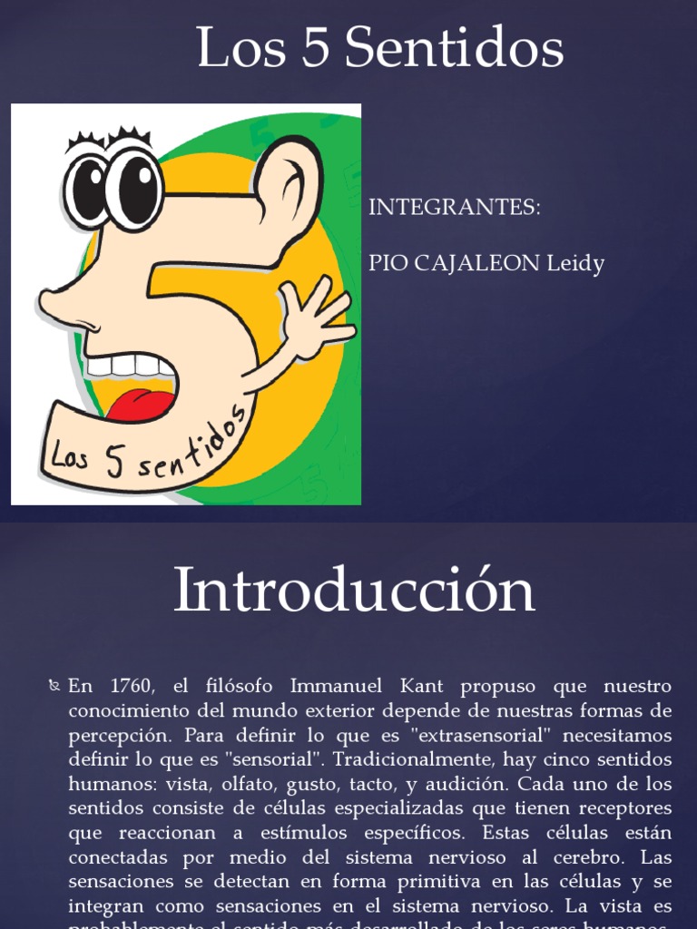 Los Cinco Sentidos | PDF | Oído | Percepción visual