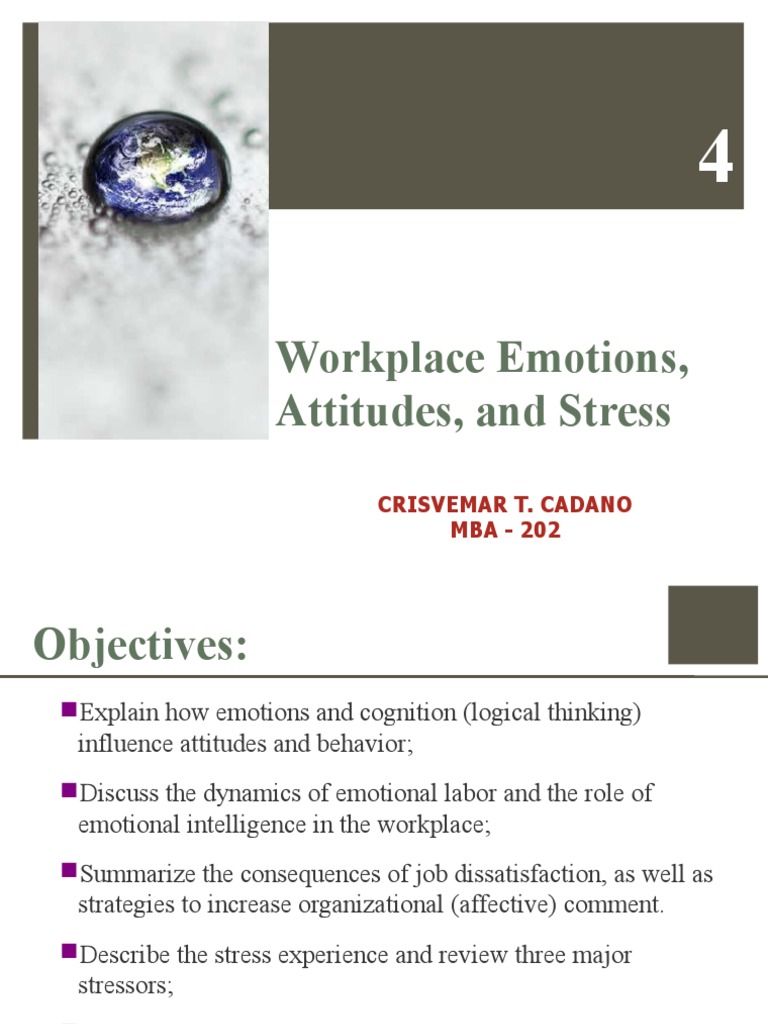 Report - Workplace Emotions Attitudes and Stress | PDF | Attitude ...