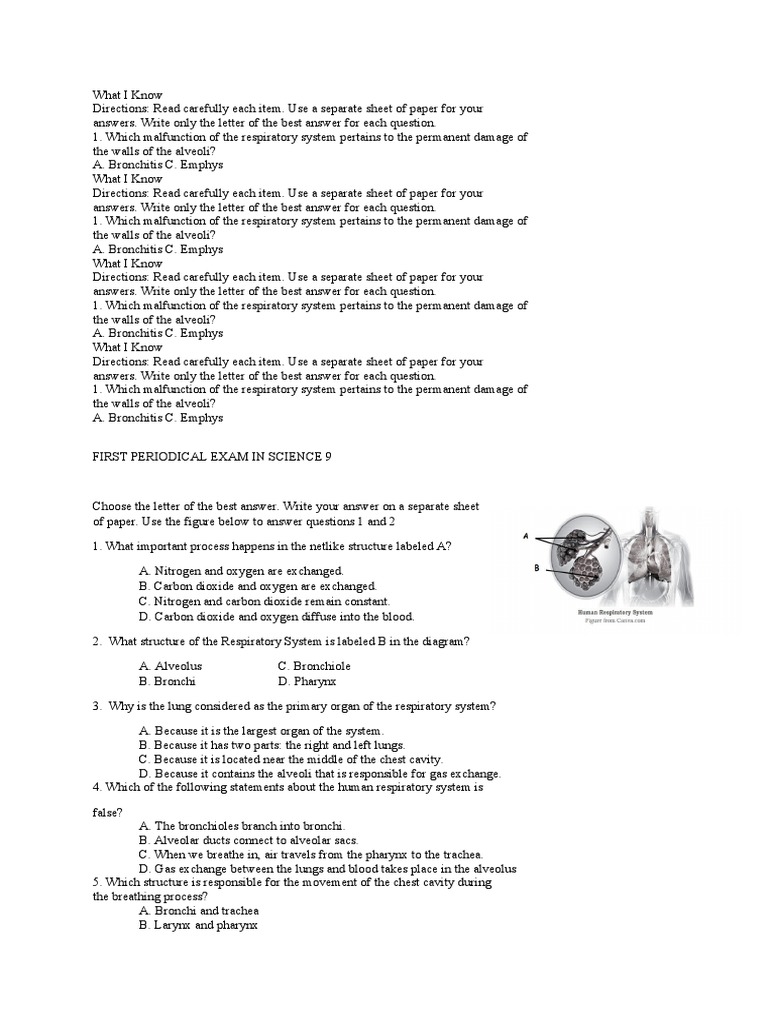 Respiratory and Circulatory Systems Exam Questions | PDF | Lung | Atrium (Heart)