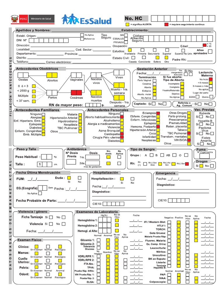 Carnet Perinatal | PDF