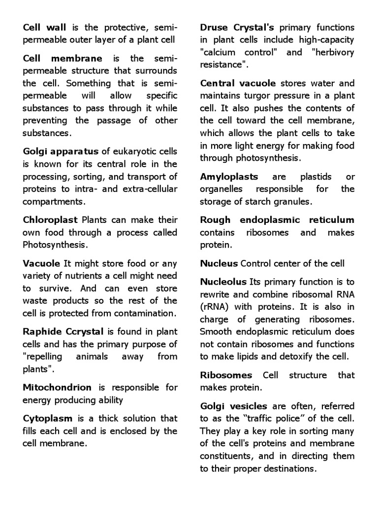 Cell Wall Is The Protective | PDF | Cell (Biology) | Cell Membrane
