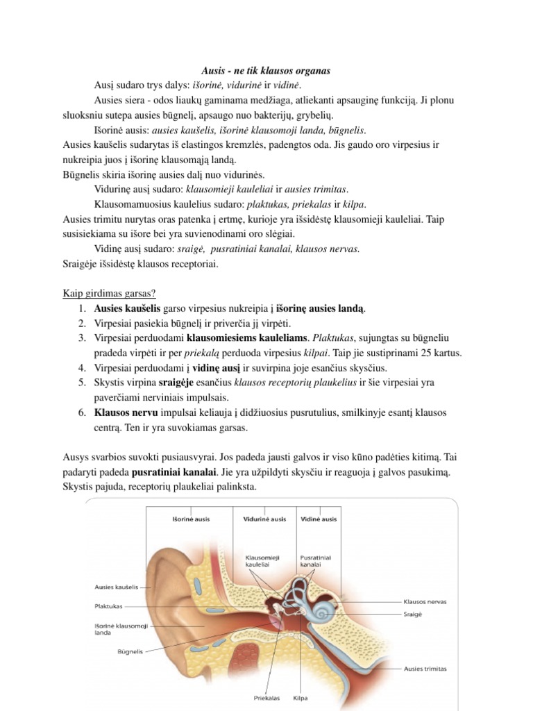 Ausis Ir Griaučiai | PDF