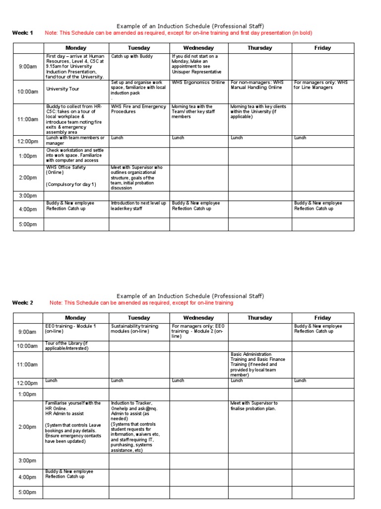 Induction Schedule Template Professional | PDF | Computing | Business