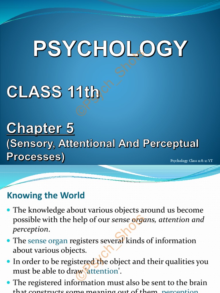 Class 11 CH 5 | PDF | Perception | Attention