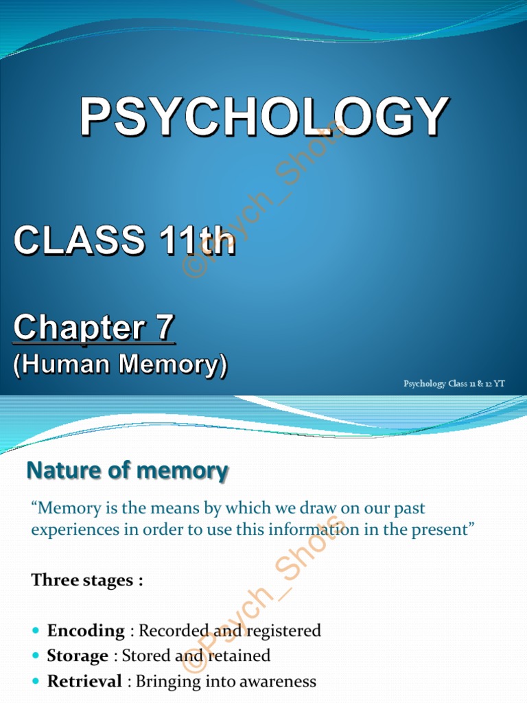 Class 11 CH 7 | PDF | Memory | Recall (Memory)