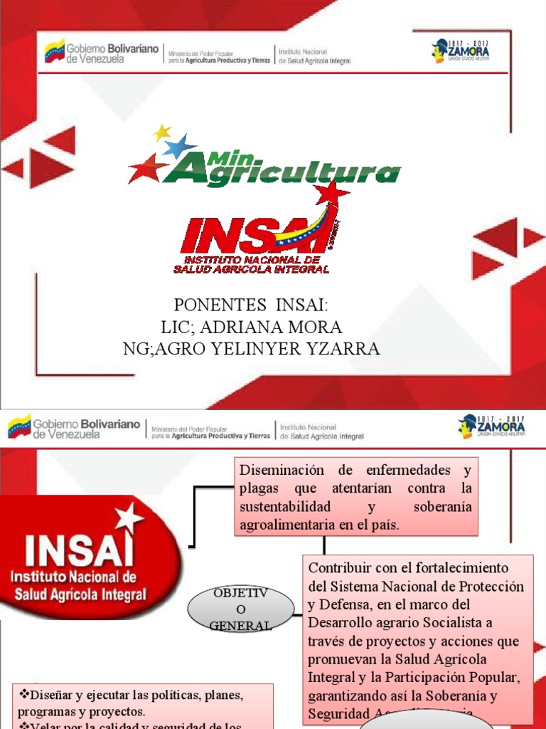 Insai 1 | PDF | Agricultura | Economias