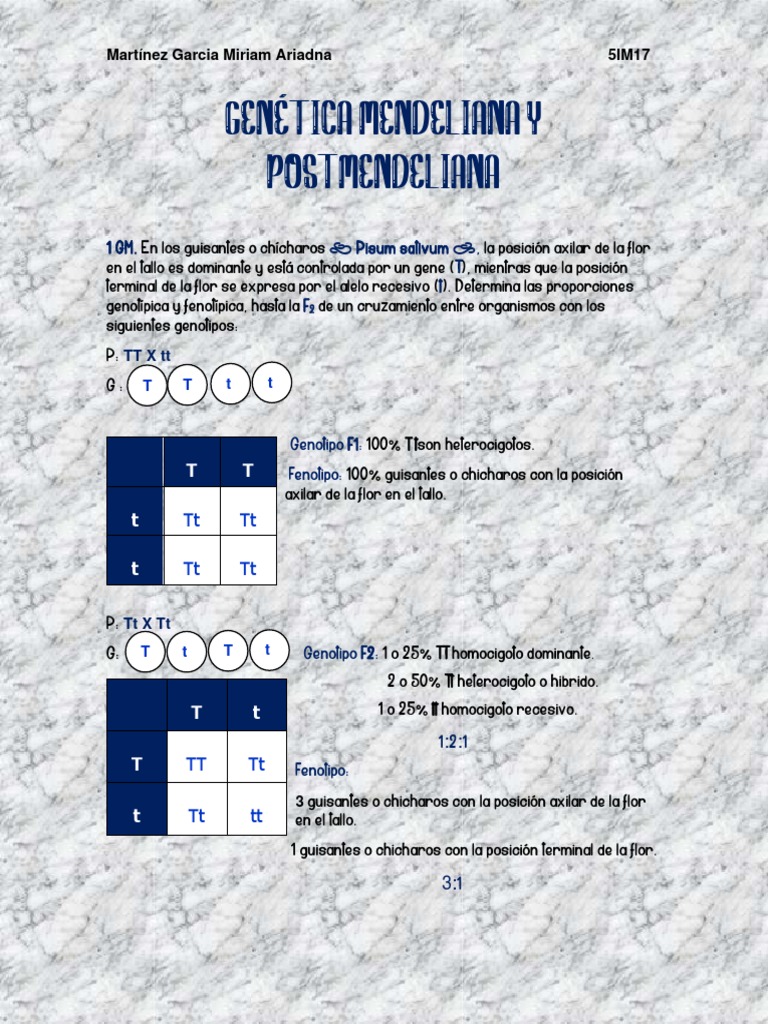 Problemario Genética Mgma | PDF | Dominancia (Genética) | Alelo