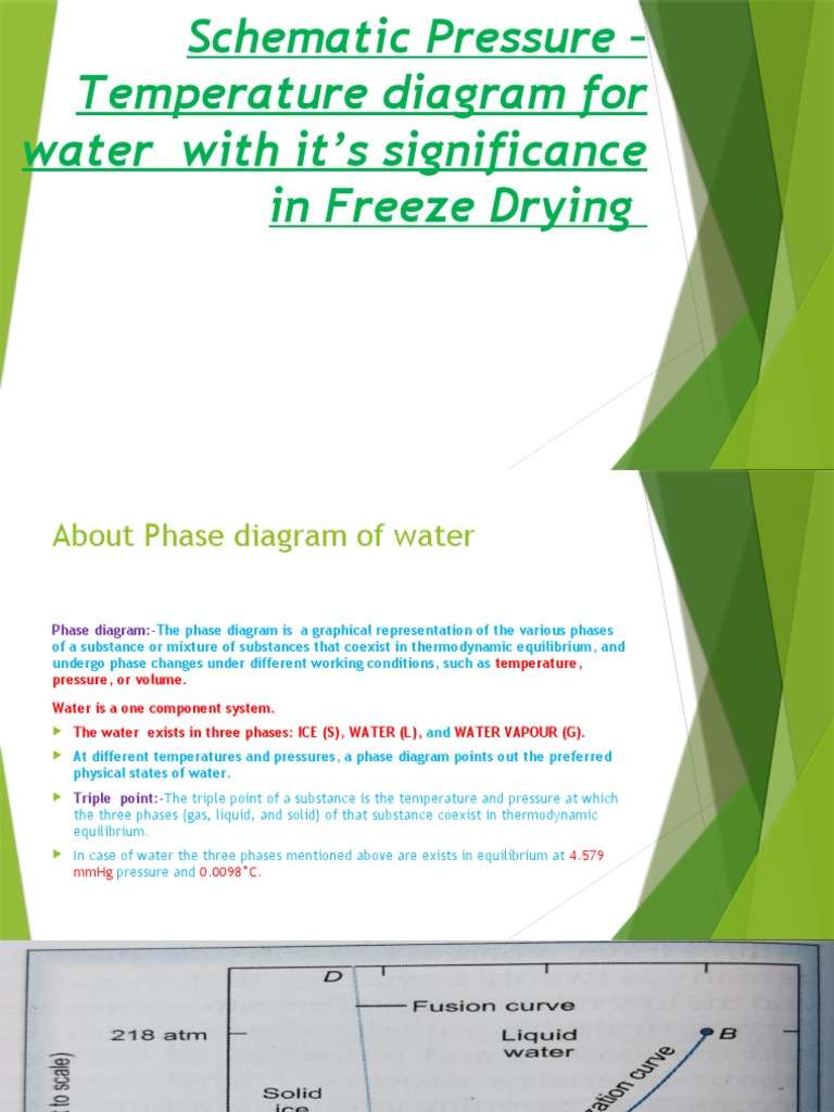 Temperature Vs Pressure Phase Diagram (Snehasish Shee, L-07 UG - 3 | PDF