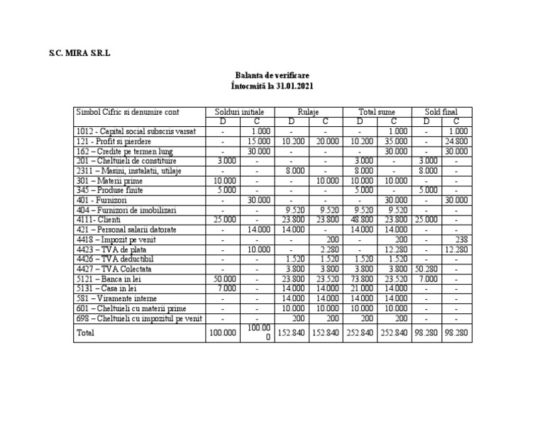 Model - Balanta de Verificare | PDF