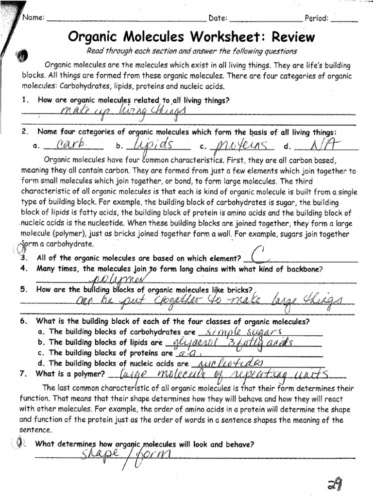 Note Packet Organic Worksheet Review | PDF