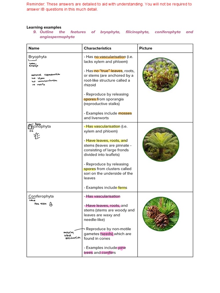 Animal and Plant Phylum | PDF | Amphibian | Organisms