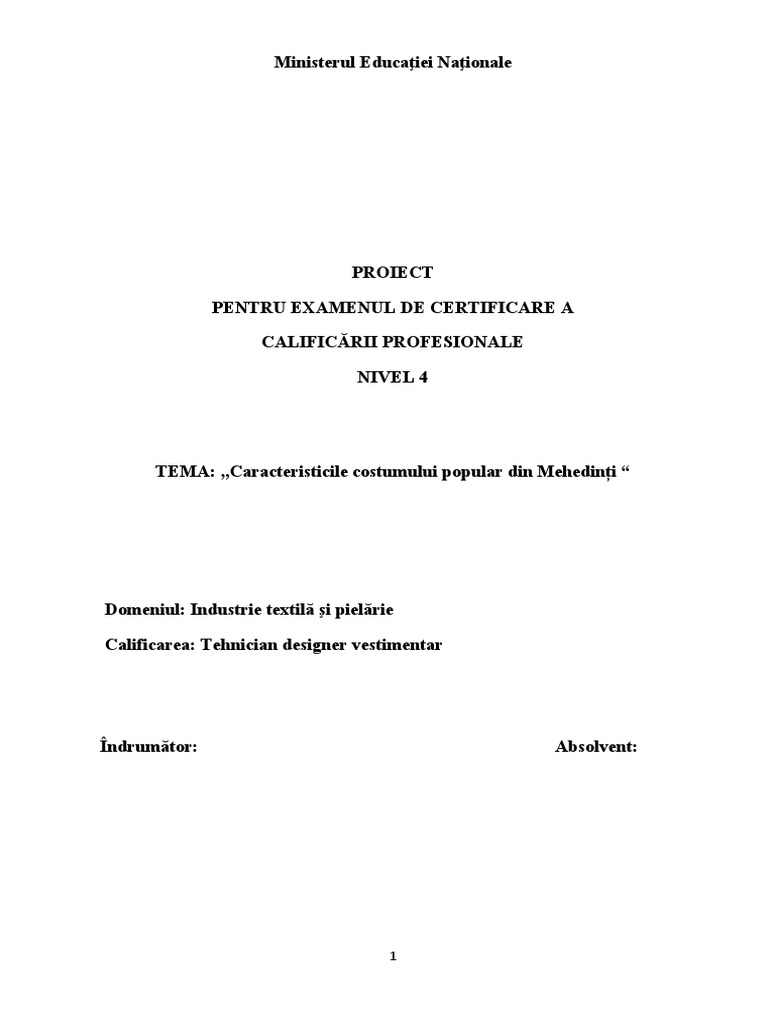 2 Proiect N4 | PDF
