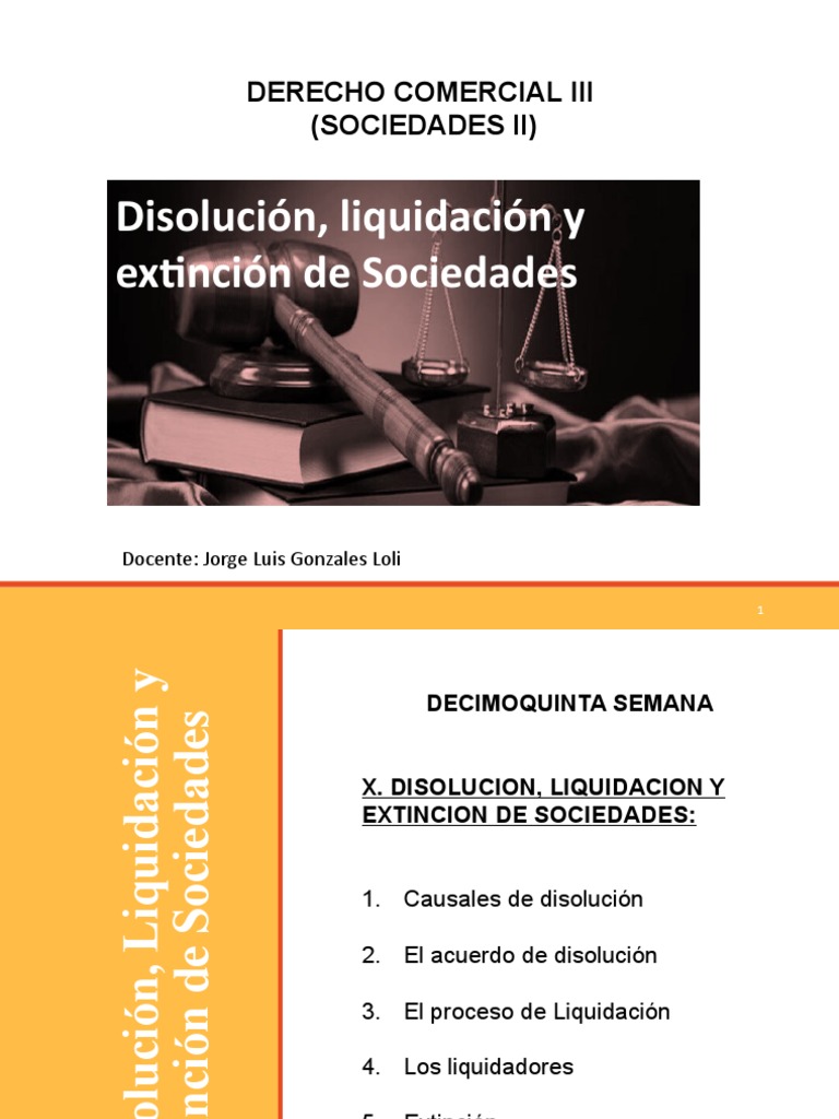 Disolucion y Liquidacion de Sociedades - Extincion Por Prolongada Inactividad | PDF ...