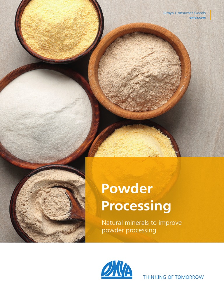 Efficient Powder Processing Solutions | PDF | Milk | Foods