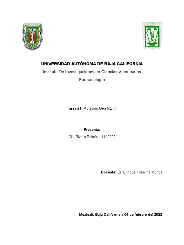 Tarea #1, Mutación Gen MDR1 - Rivera Citli | PDF | Gene | Farmacología