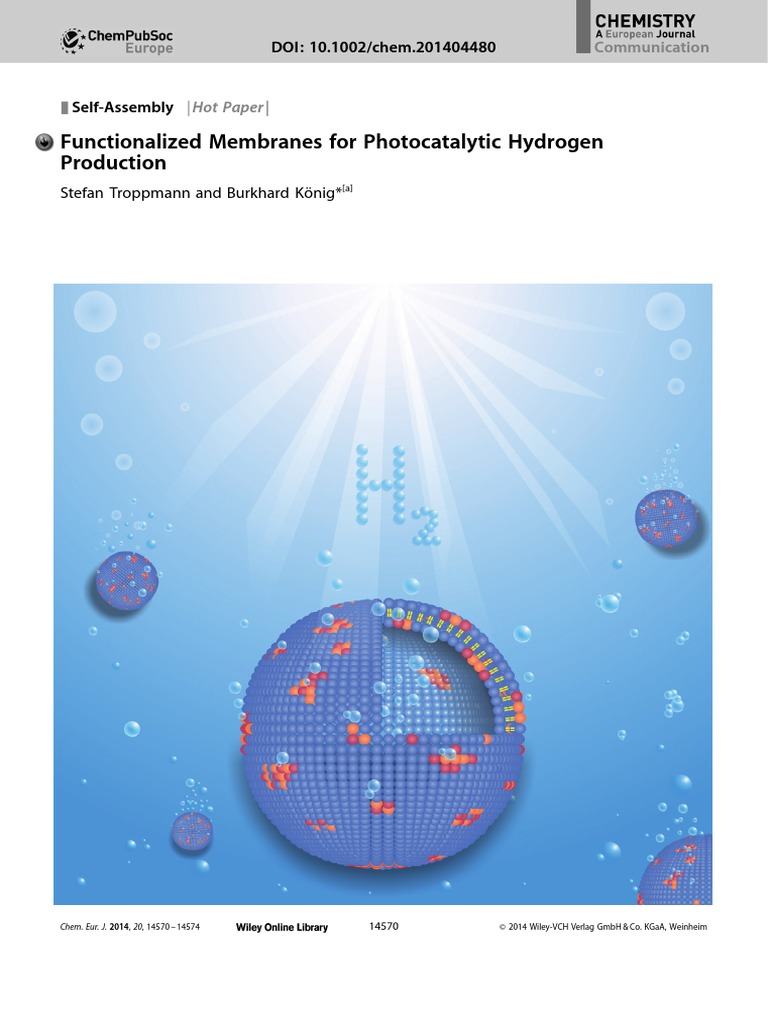 Artículo Lipopartículas Sobre Liposomas | PDF | Catalysis | Lipid Bilayer