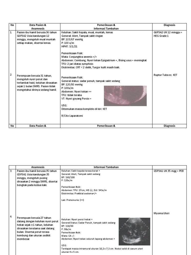 Logbook Magang Kosong | PDF