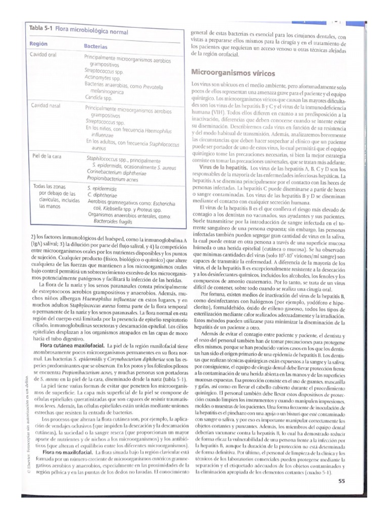 Tabla 5-1 Flora microbiológica normal | PDF