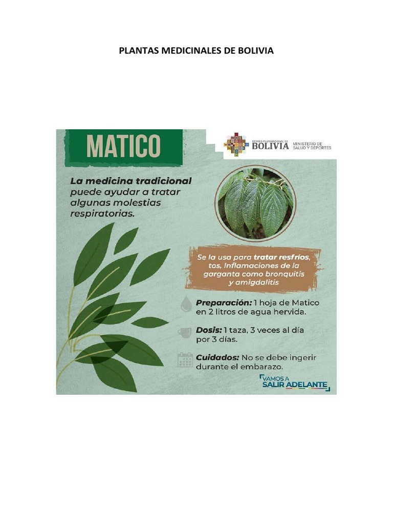 Plantas Medicinales de Bolivia | PDF