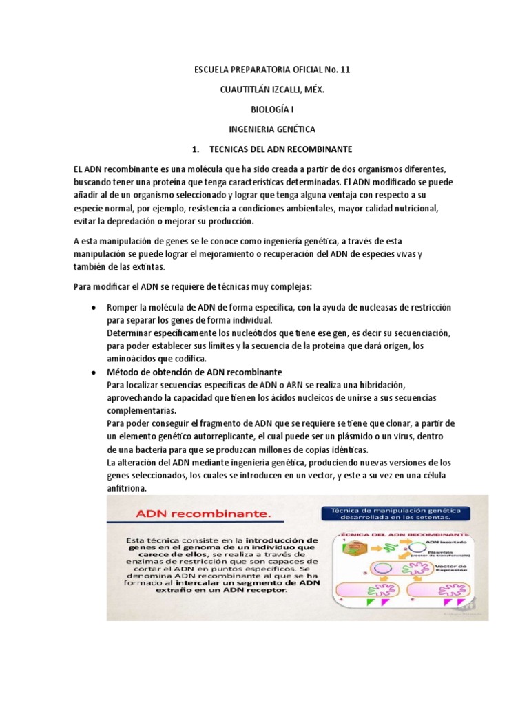 Tecnicas Del Adn Recombinante | PDF | Adn | Ingeniería genética