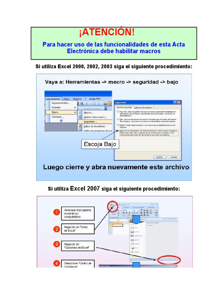 Acta Primaria | PDF | Microsoft Excel