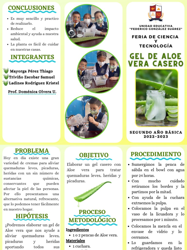 Tripticos Gel | PDF