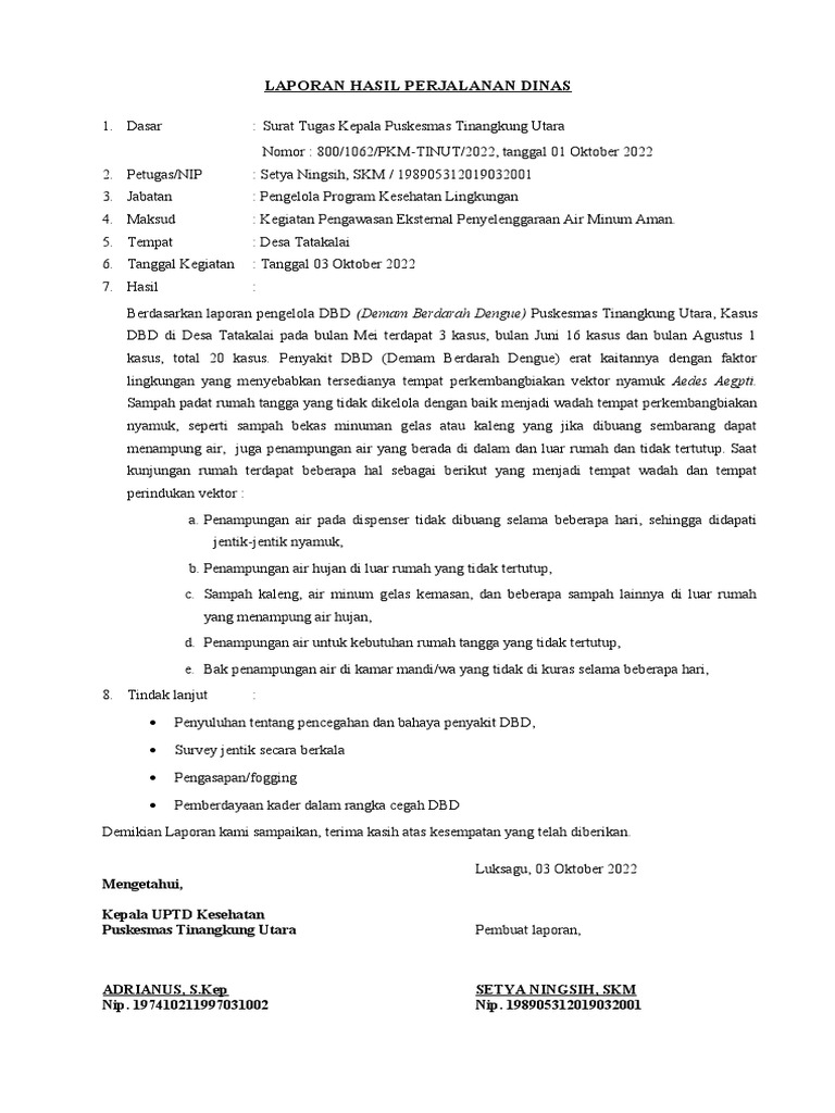 Laporan Hasil Dampak Sampah Terhadap DBD | PDF